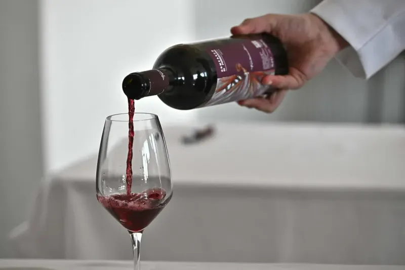 Only Wine 2025: il salone dei giovani produttori e delle piccole ...